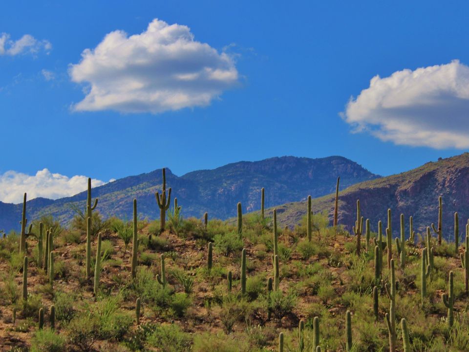 Southern Arizona Nonprofit Funding Assessment - Community Foundation ...